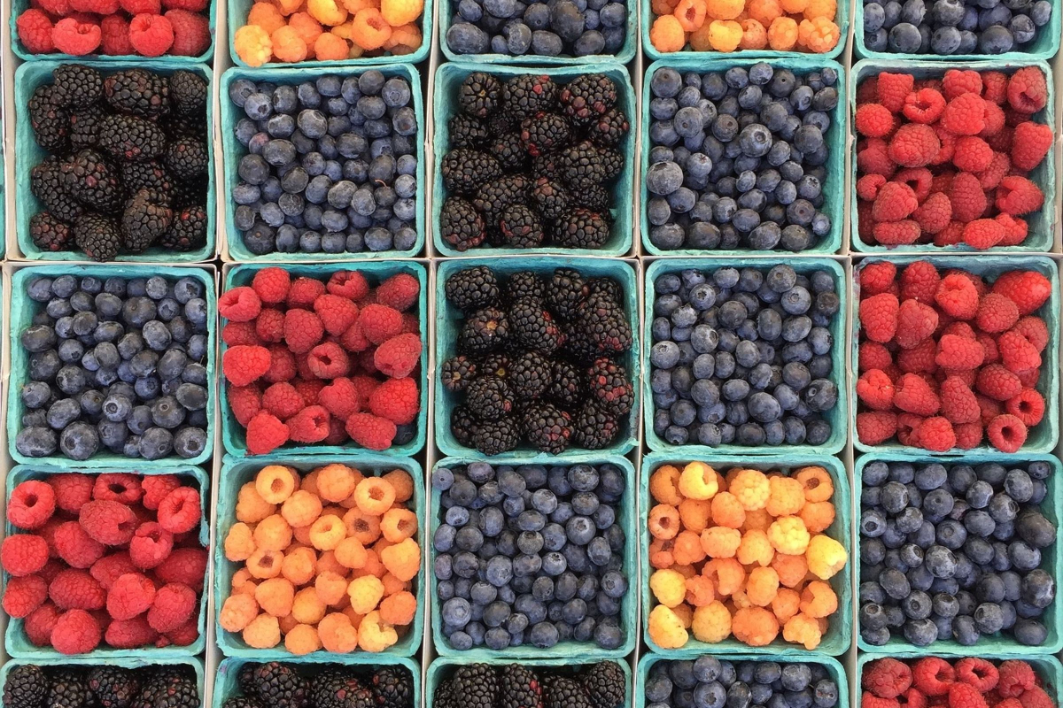 Different Types of Berries allsmoothies.net Different Types of Berries allsmoothies.net